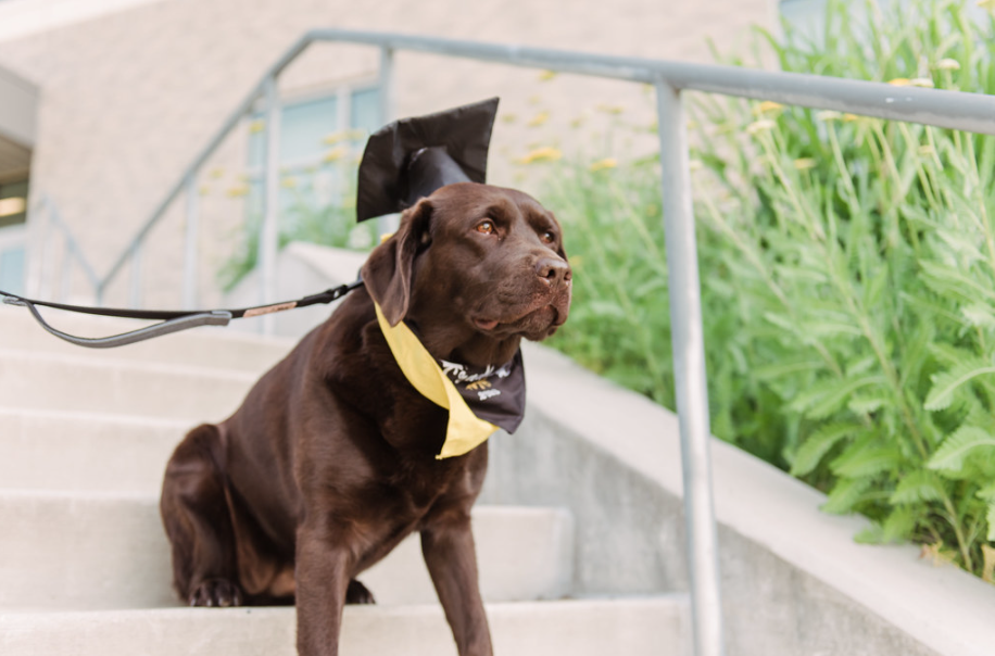 Destination: Graduation – Office for Academic and Pre-Professional ...